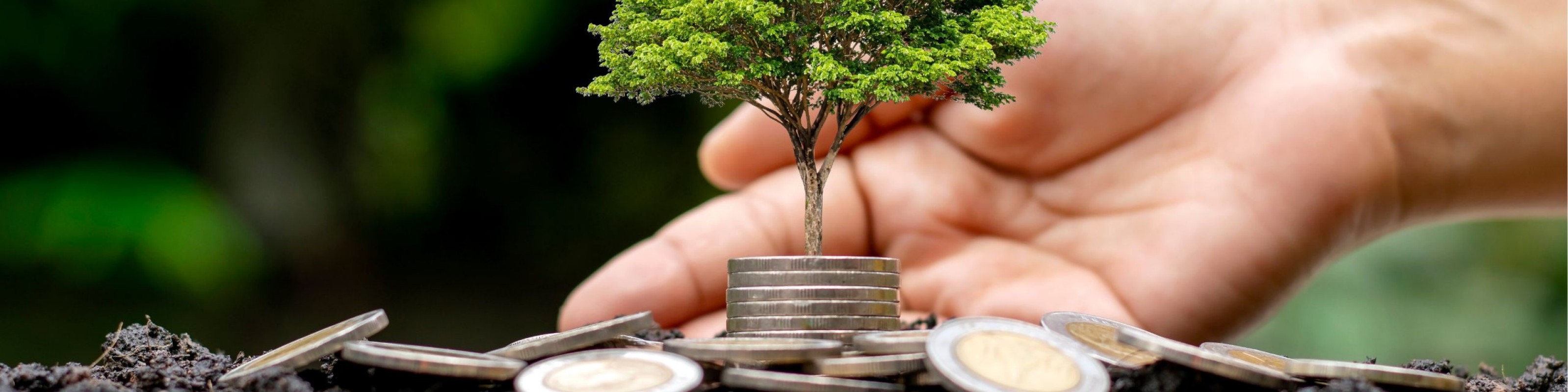 Lokata - co to? Informacje o lokacie bankowej w pigułce